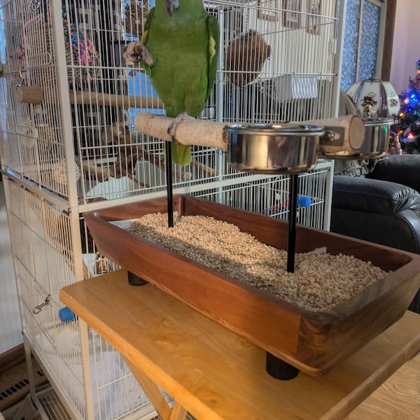 Small Whitewashed Parrot Stand Modern Parrot Stand Portable Parrot ...