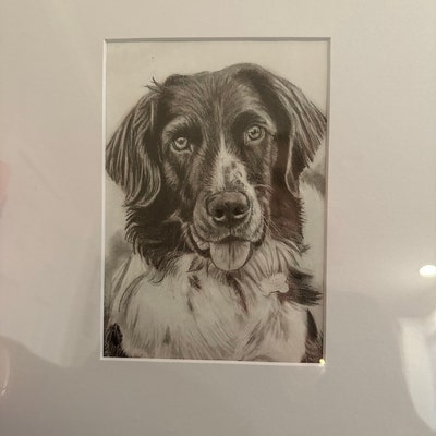 Learn to Draw Pre-outlined Pencil & Paper Drawing Kit W/ - Etsy