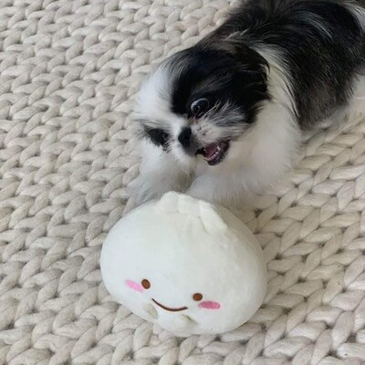 Cute Xiao Long Bao Dog Toy With Squeaker Cute Kawaii Chinese Dumpling ...