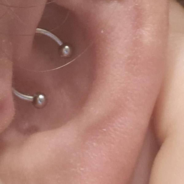 Super Tiny Sea Turtle Threadless Flat Back Nose Stud, 20,18,16ga, 5-10mm Unisex, Stainless Steel ...