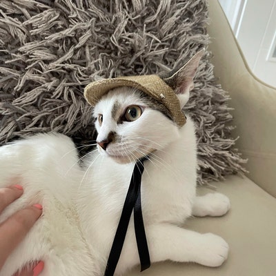 Ready to Ship. Classic Cat Hat. Cap for Cats and Kittens. Yellow ...