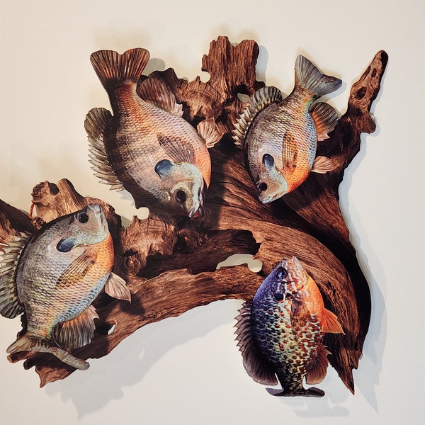 Bluegill Replica Driftwood Scene Rustic Home Decor, 2D Flat Metal, Lake ...