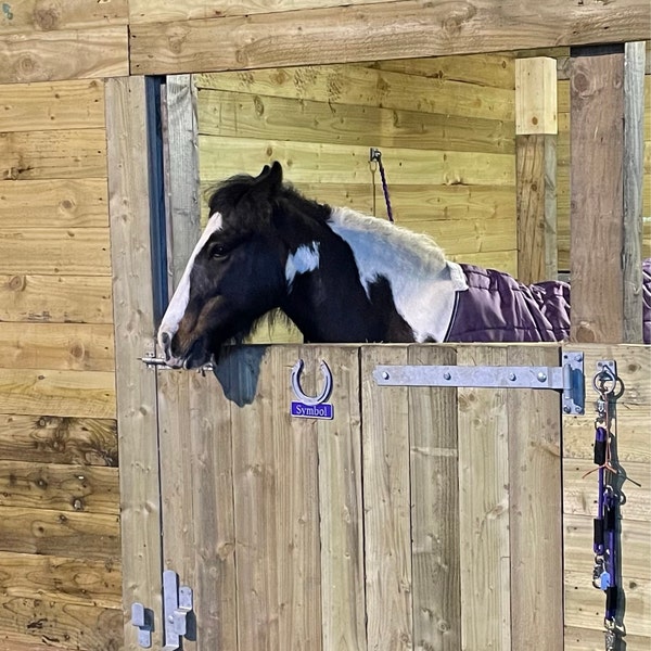 Stable Door Name Plate - 16 Colours & 5 Size Options - Etsy UK