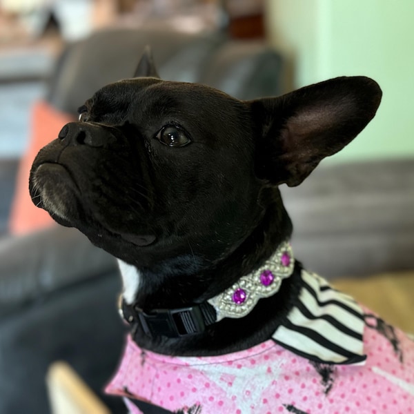 Wide White Collar White Wedding Collar Wide Dog Collar Collar for ...