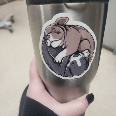 Labeled Digestive System Diagram Sticker Hand-drawn Anatomy Sticker GI ...