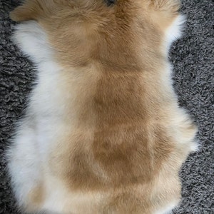 1 Pcs Natural Color Rabbit Fur Pelts Craft Grade Assorted - Etsy