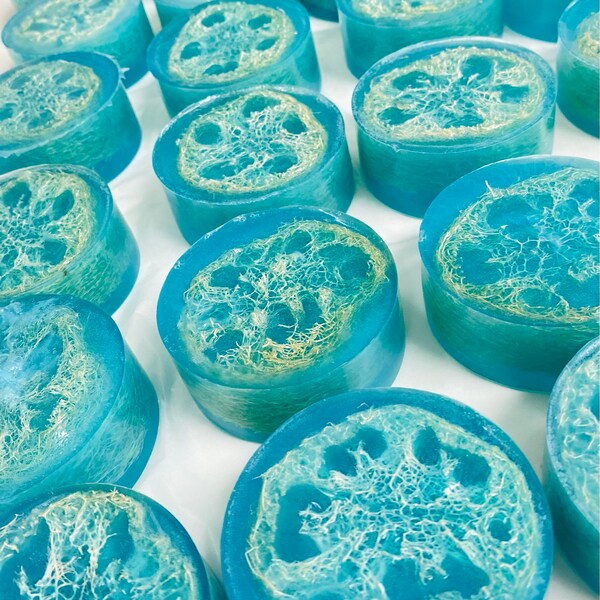 8 Oz. Pulverized Powder Loofah - Etsy