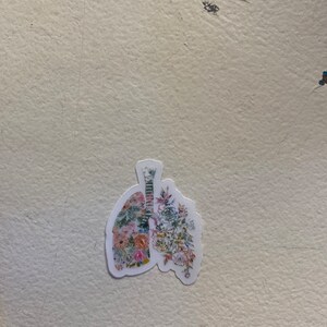 Clear Colorful Radiology Symbol Sticker, Radiology Sticker, Radiology ...