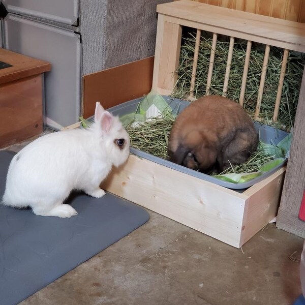 Medium - Hop Box: Rabbit Bunny Hay Feeder and Litter Pan Combo - Etsy