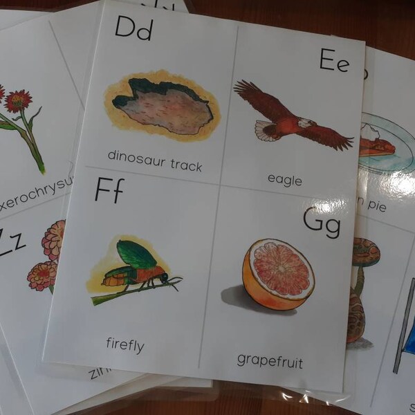 ABC Flashcards Printable, Alphabet Cards, Texas Abcs, Watercolor ...