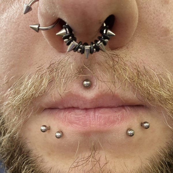16g Very Long Spiked Septum, Wide Horseshoe Barbell, 14mm Septum, 16mm ...