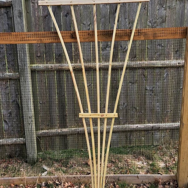 Garden Fan Trellis and Obelisk Plan Bundle / Garden Fan Trellis ...