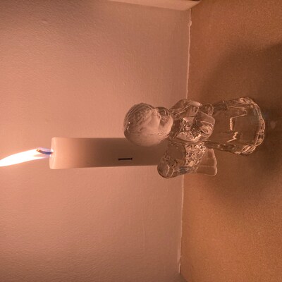 Shell Educational Poster Life on the Tide Line - Etsy UK