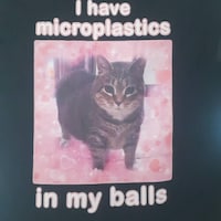 Can Get Too Silly Funny Cat Meme T-shirt, Silly Cat Shirt, Ironic Shirt ...