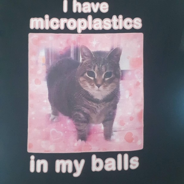 Florp Invasion Funny Alien Brainrot Cat Dank Meme Tee Shirt Gift for ...