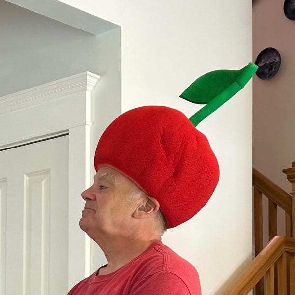 Realistic Hat Tomato for a Party. for Children and Adults.for Carnival ...