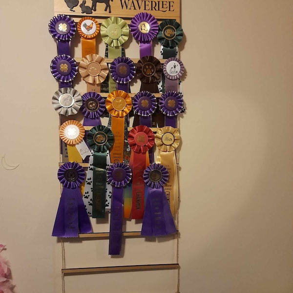 Personalized 4H Show Ribbon Holder: Livestock Award Display - Etsy