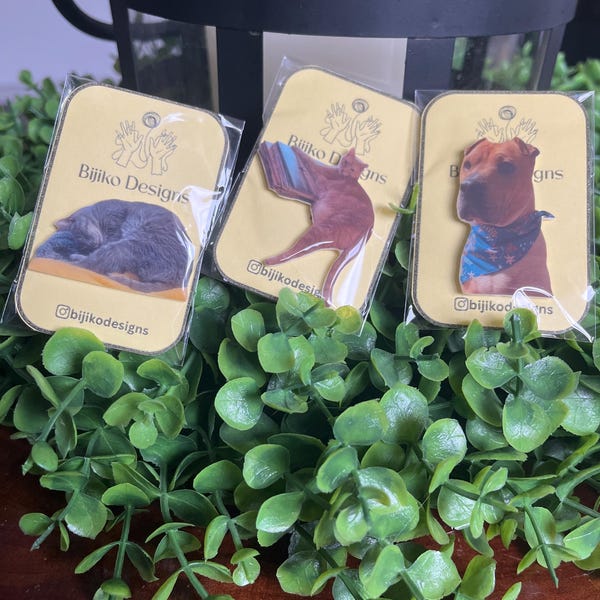 Chips Pin, Doritos, Takis, Cheetos, Ruffles, Lays, Snacks Pin, Pin ...