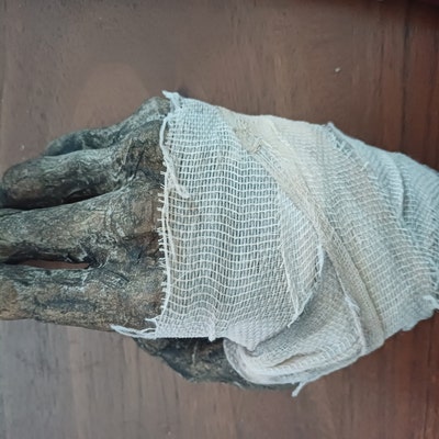 Egyptian Mummified Hand Replica - Etsy