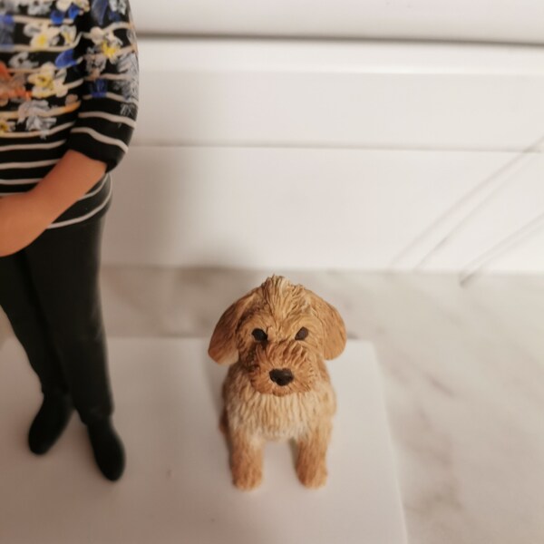 Custom Bobbleheads With Dog From Photo, Personalized Bobblehead With ...