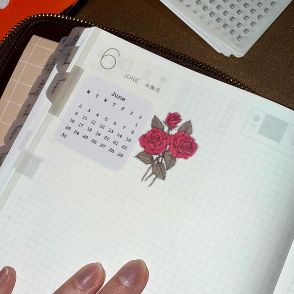 Violet’s Dagger Sticker | Fourth Wing Sticker | Waterproof Sticker ...