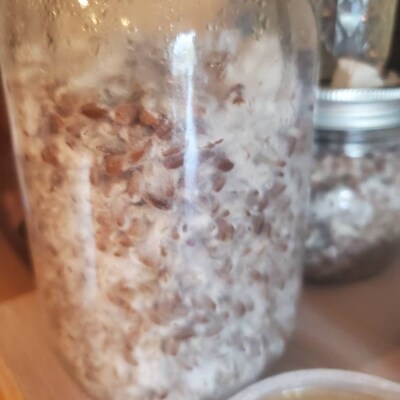 Burn Morel Liquid Mushroom Culture for Mushroom Cultivation. - Etsy