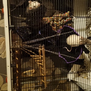 Small Pet Ladder for Cage Suitable for Rat, Hamster, Birds, Parrots ...