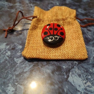Valentines Kisses Lorybugrocks Ladybug - Etsy