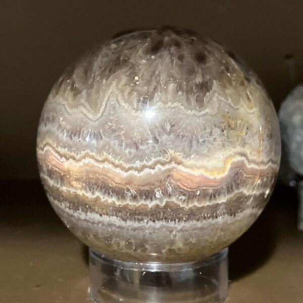 Beige Agate Dog Bone 1 Inch Shaped Stone - Etsy