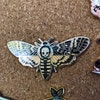 Death's-head Hawkmoth Hard Enamel Pin Hawk Moth Gold Variant Death Moth ...