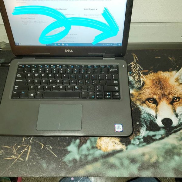 Woodland Animals Spiral Notebook, Bear Notebook, Fox Journal, Cute ...