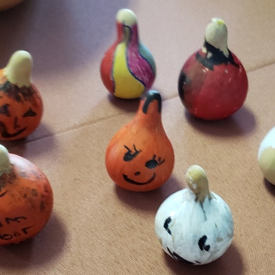 15 Quality Mini Pear Gourds Cleaned and Dried - Etsy