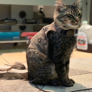 Classic Tweed Cat Walking Jacket dark Kazuki. | Etsy