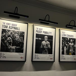 UFC Poster Monochrome Range MMA Fighter Statistics | UFC Fighter ...