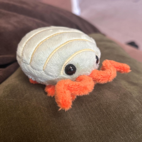 Adorable Colorful Shrimp Ocean Bug Insect Decapoda Crustacean Minky ...