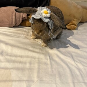 Blue and White Check Rabbit Bunny Dress or Denim Dungarees - Etsy