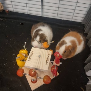 Pyramid Wheel Feeder Toy Guinea Pig Toy Rabbit Toy Hamster | Etsy