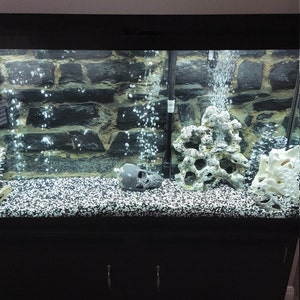 Black Rock / HD Stone Aquarium Background Rocky Fish Tank Background - Etsy