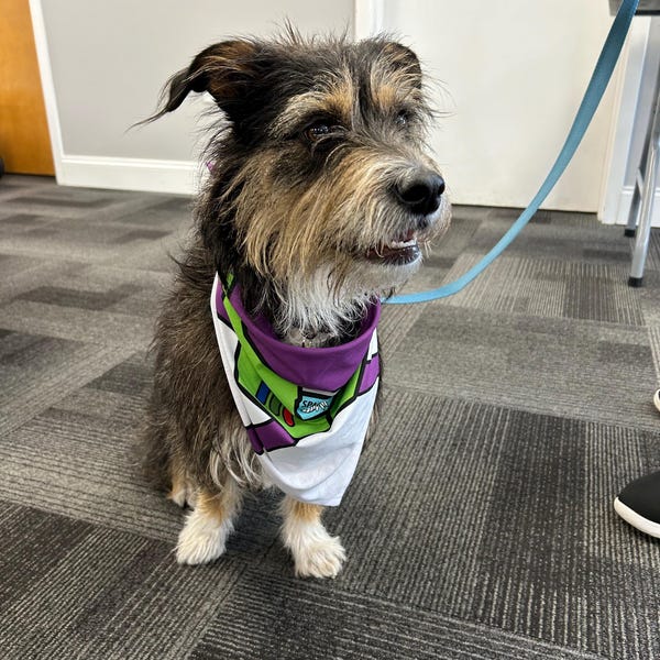 Custom Sci Fi Phone Case, Sci-fi Uniform, Captain, Star, Boldly Go ...