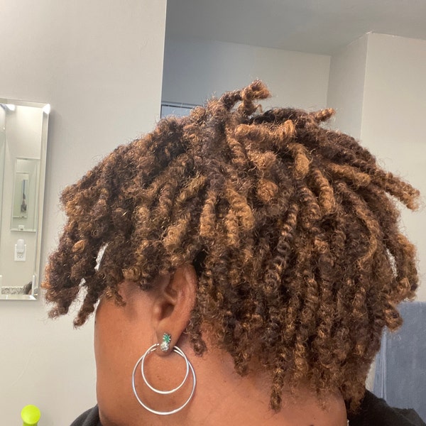 Pixie Cut Wig, Pixie Wig for Black Women, Short Kinky Twists Wig Braid ...
