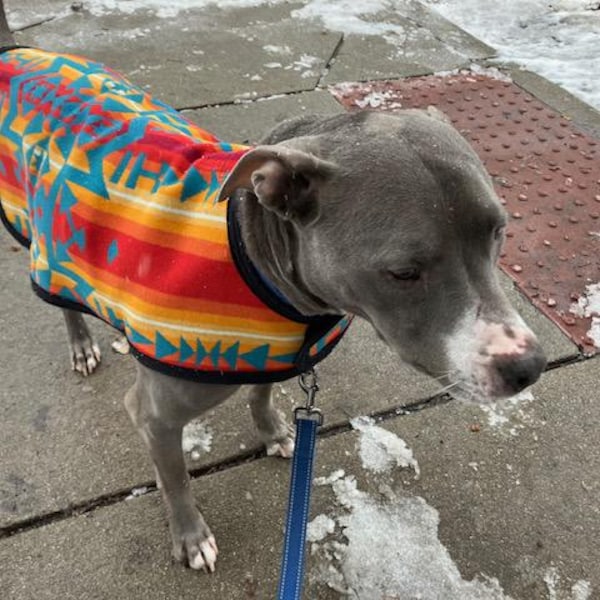 Red & Black Pendleton Wool Dog Coat - Featuring Exclusive D-ring ...