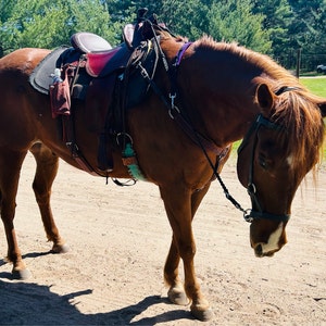 Saddle Drink Holder Genuine Cowhide Leather - Etsy