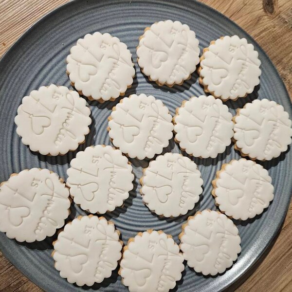 Dinosaur Cake Stamp- Dino Theme Children's Birthday Acrylic Debosser ...