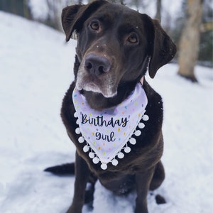 Dog Alphabet Poster // PRINTABLE // Dog Wall Art // Instant | Etsy