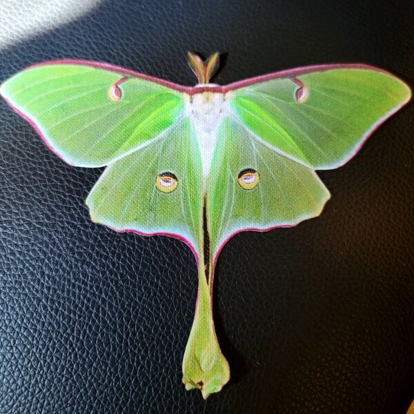 ONE Large Monarch Butterfly Migration Stickers - Wall Art Decor -for ...