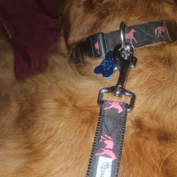 Biothane Tab or Bringsel Pick Your Color 1/2 Wide Heavy Weight, 8 Long ...