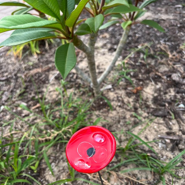 Bee Butterfly Watering Station,butterfly Puddler,garden Art,gift for ...