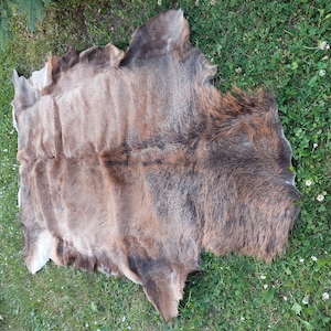 Giant Horse Skin Hide Real Natural Area Rug Living Room - Etsy