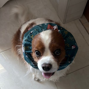 Waterproof Thick Dog Snood , Swimming Cap for Dog , Dog Hat for Snow - Etsy