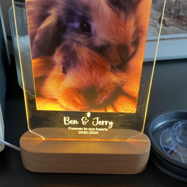 Photo Engraving Custom 3D Acrylic Night Light | Personalized Bedroom ...